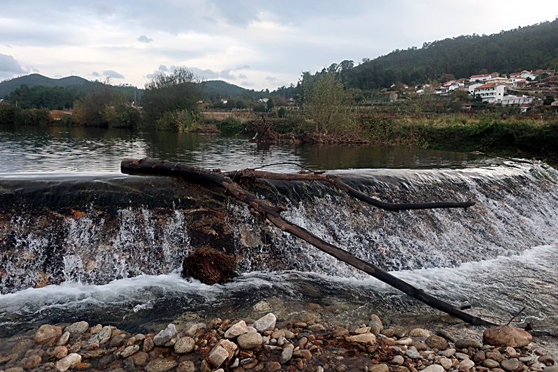 Pedregulhal Ossela - A.S. São João da Madeira