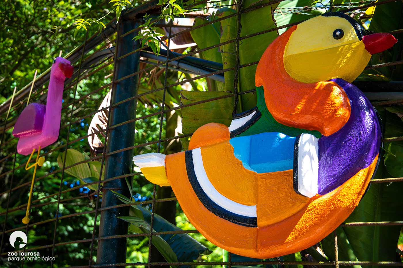 Zoo de Lourosa - A.S. São João da Madeira